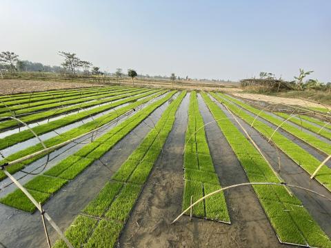 Welcome | Agriculture Knowledge Center | Jhapa